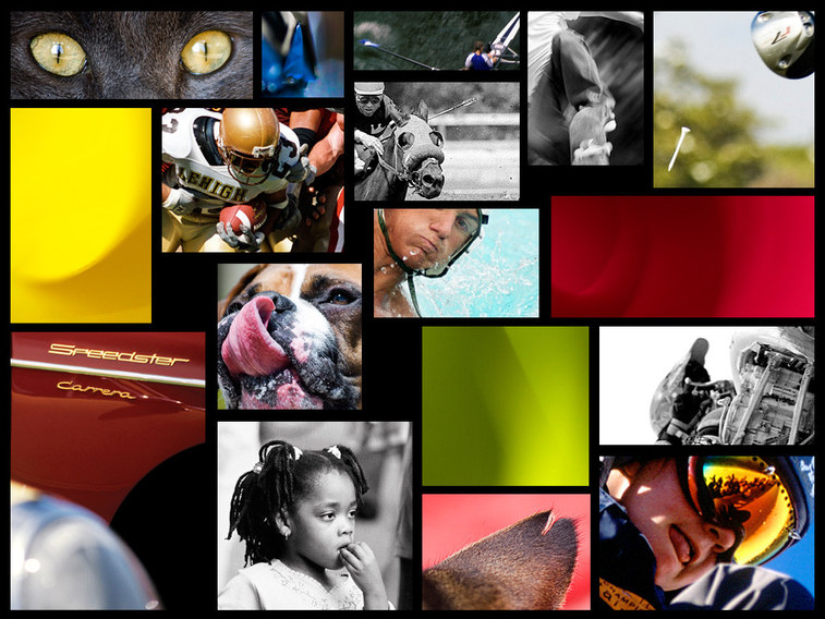 Welcome - Letitia Haynes Photography