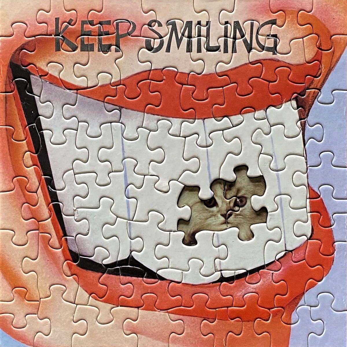 Puzzle Montage Art by Tim Klein - Puzzle Montage Art by Tim Klein