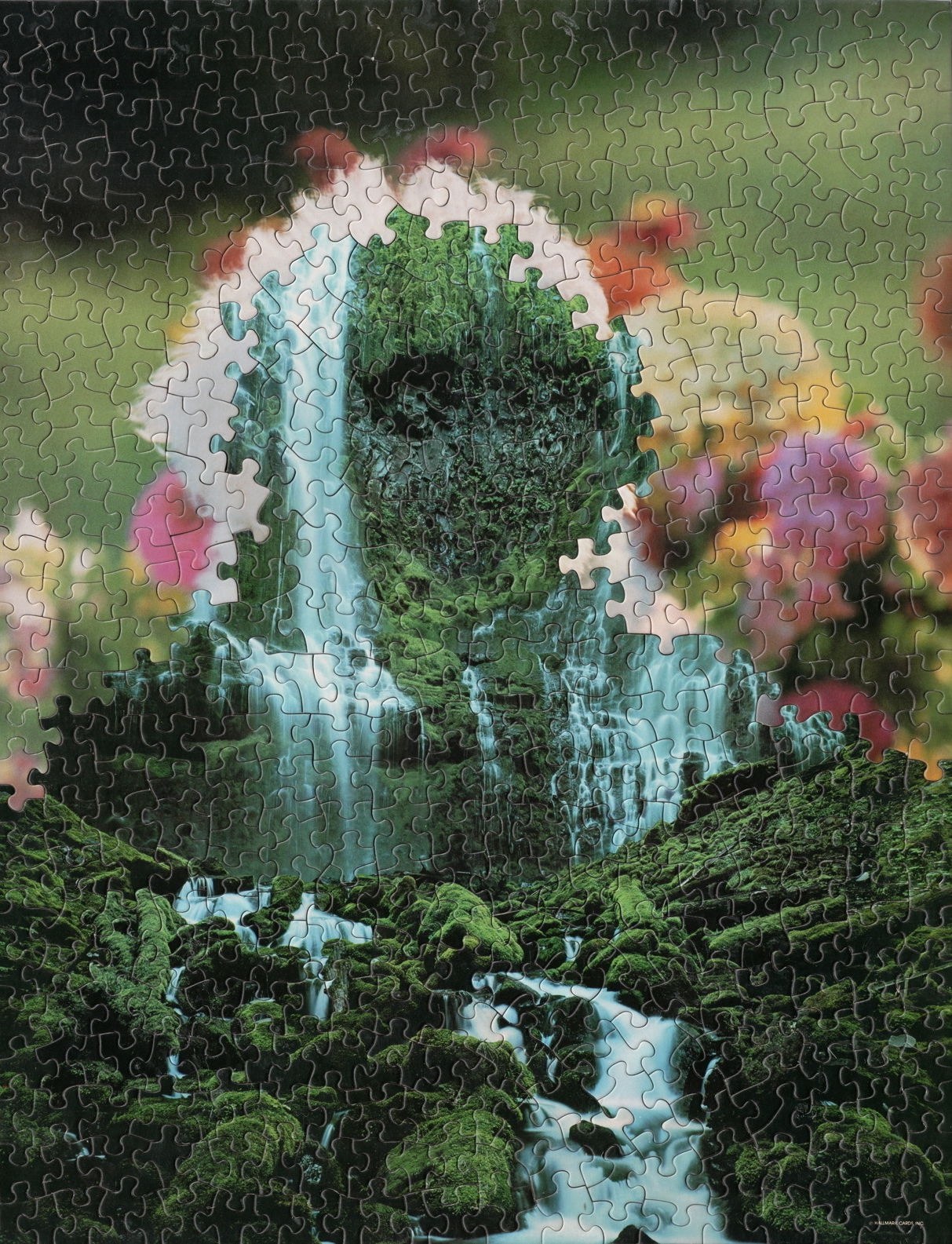 Puzzle Montage Art by Tim Klein - Puzzle Montage Art by Tim Klein