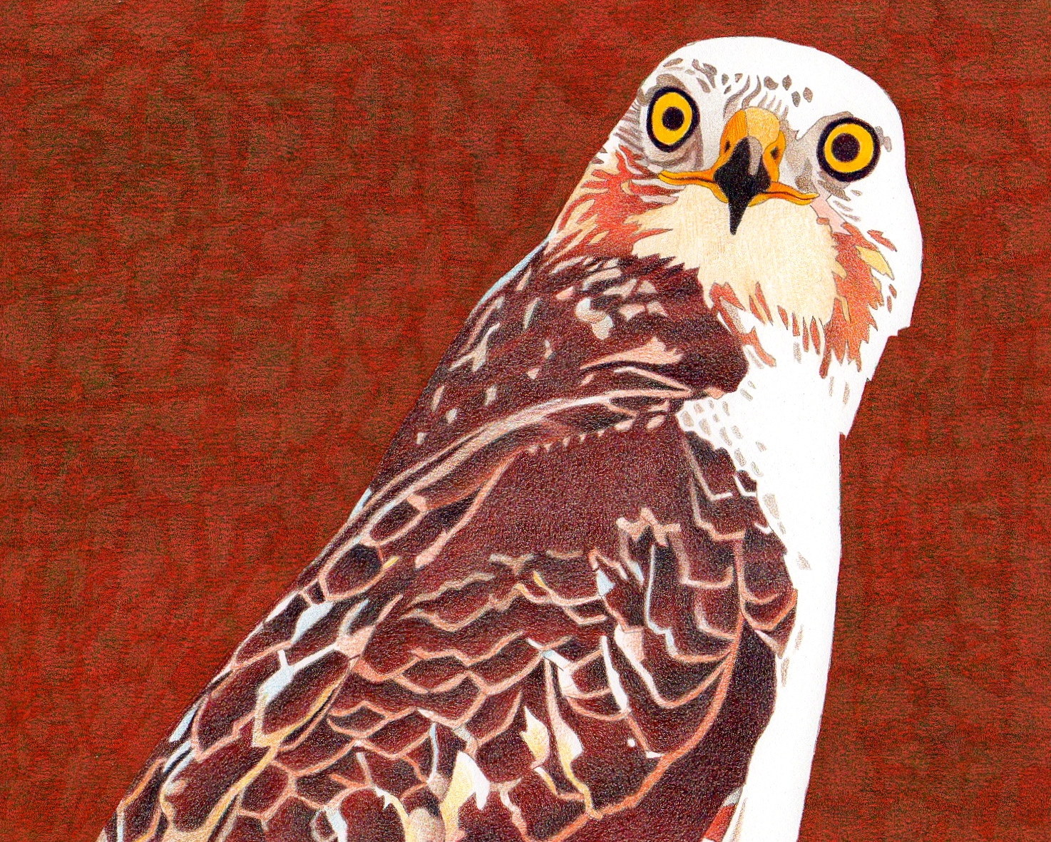 Gallery of Drawings - Dan Miller Art