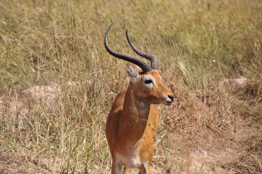 Benin, Africa - Nicholas Filak